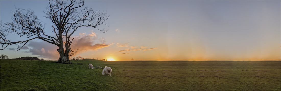 Our Story... – Barnbarroch Organic