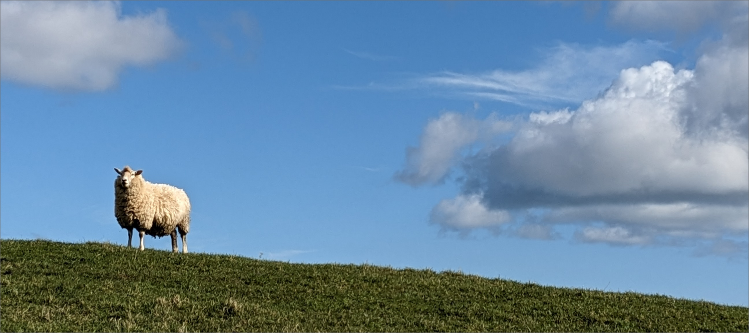 Barnbarroch Organic